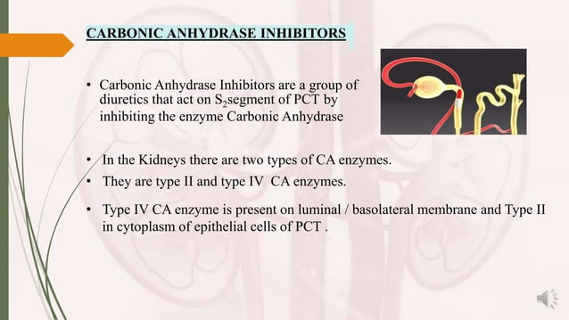Carbonic anhydrase inhibitors | PPTX
