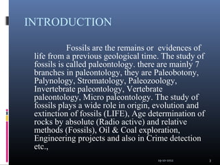 Carbon isotope study on fossils | PPT