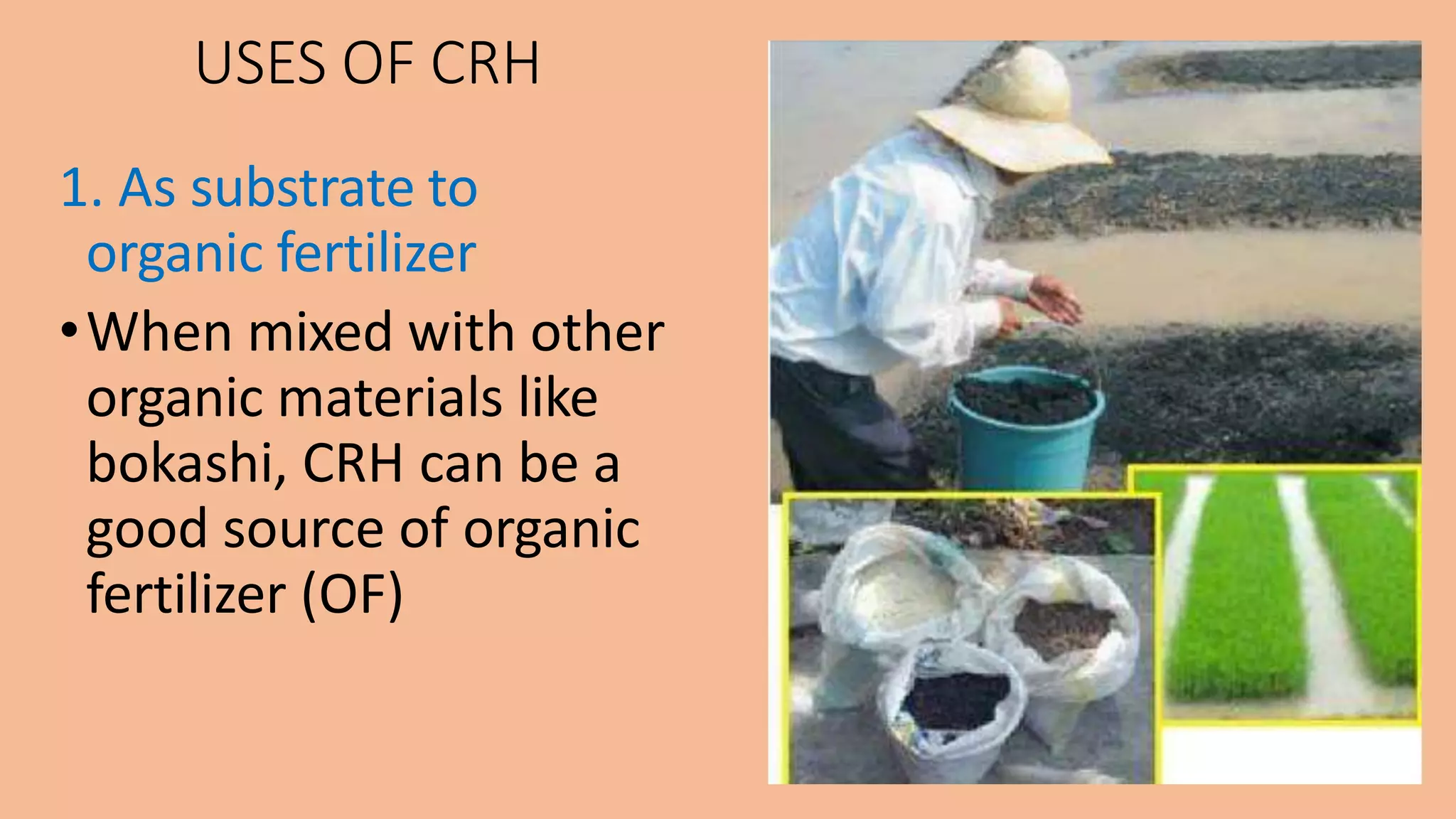 CARBONIZED RICE HULL (CRH).pptx