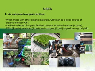 Carbonize rice hull production | PPTX