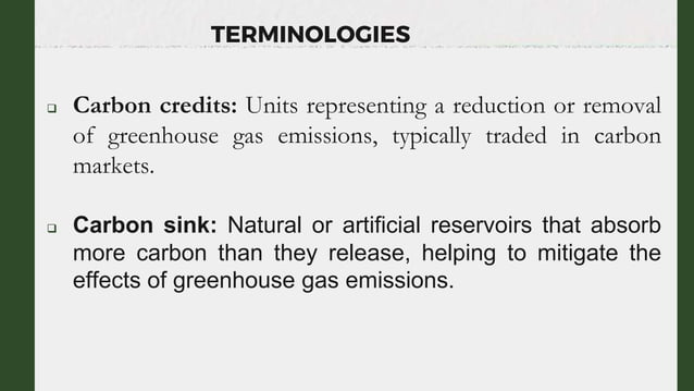 Carbon Market Meaning and its System ..pptx