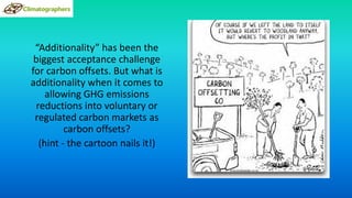 Carbon offset additionality | PDF
