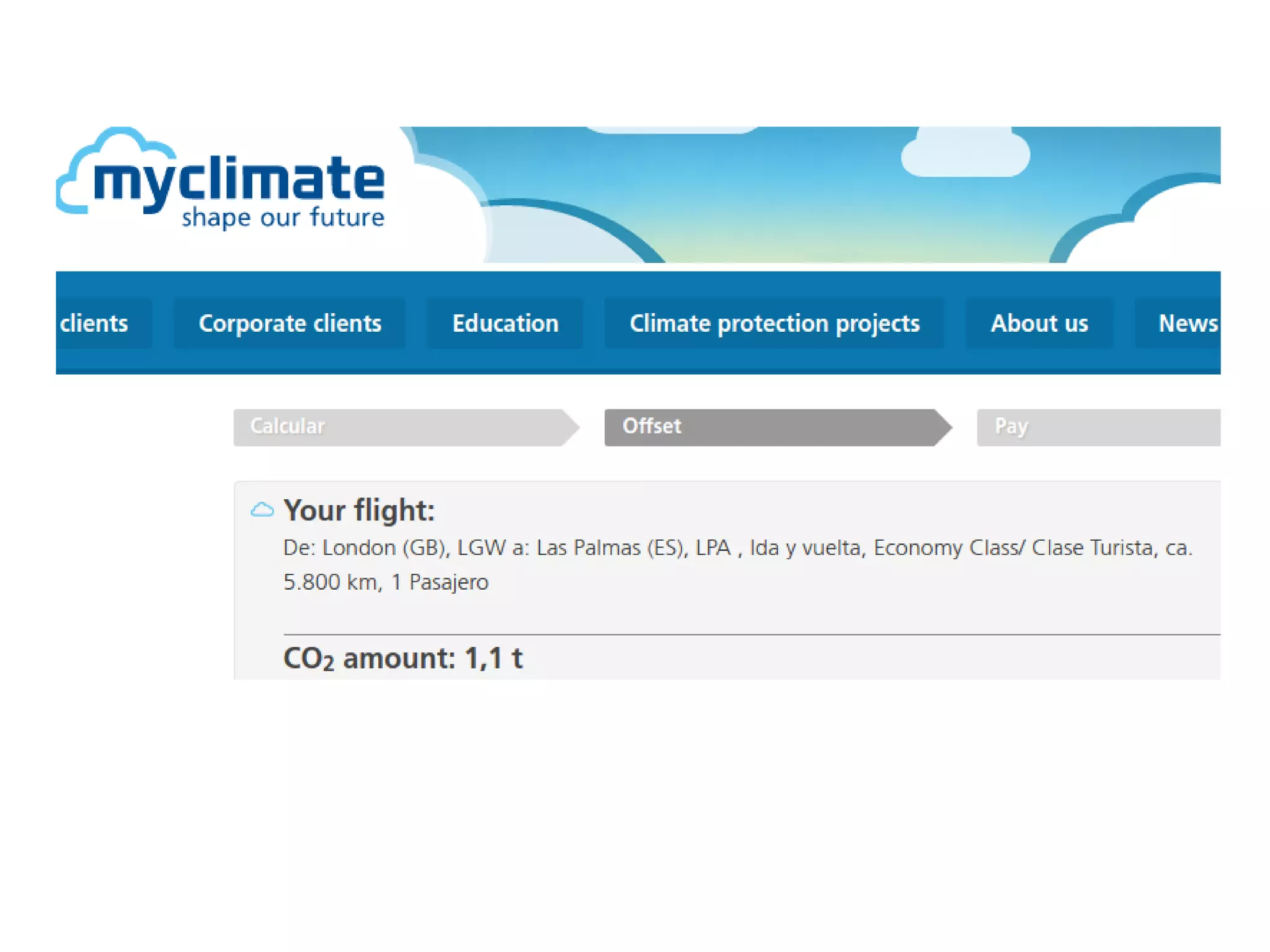 Carbon offsetting | PDF