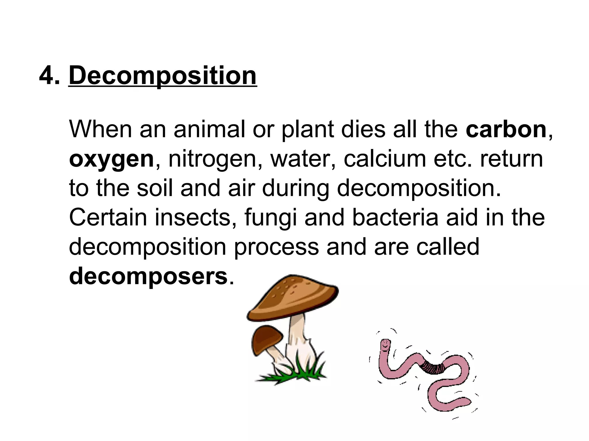 Carbon-Oxygen Cycle | PPT