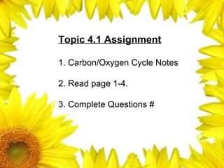 Carbon-Oxygen Cycle | PPT
