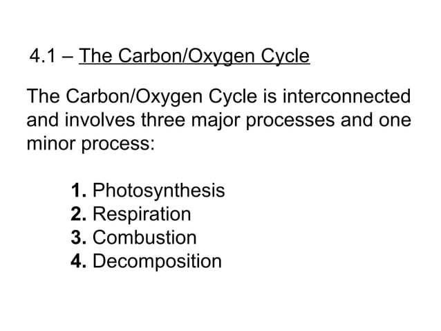 Carbon-Oxygen Cycle | PPT | Chemistry | Science