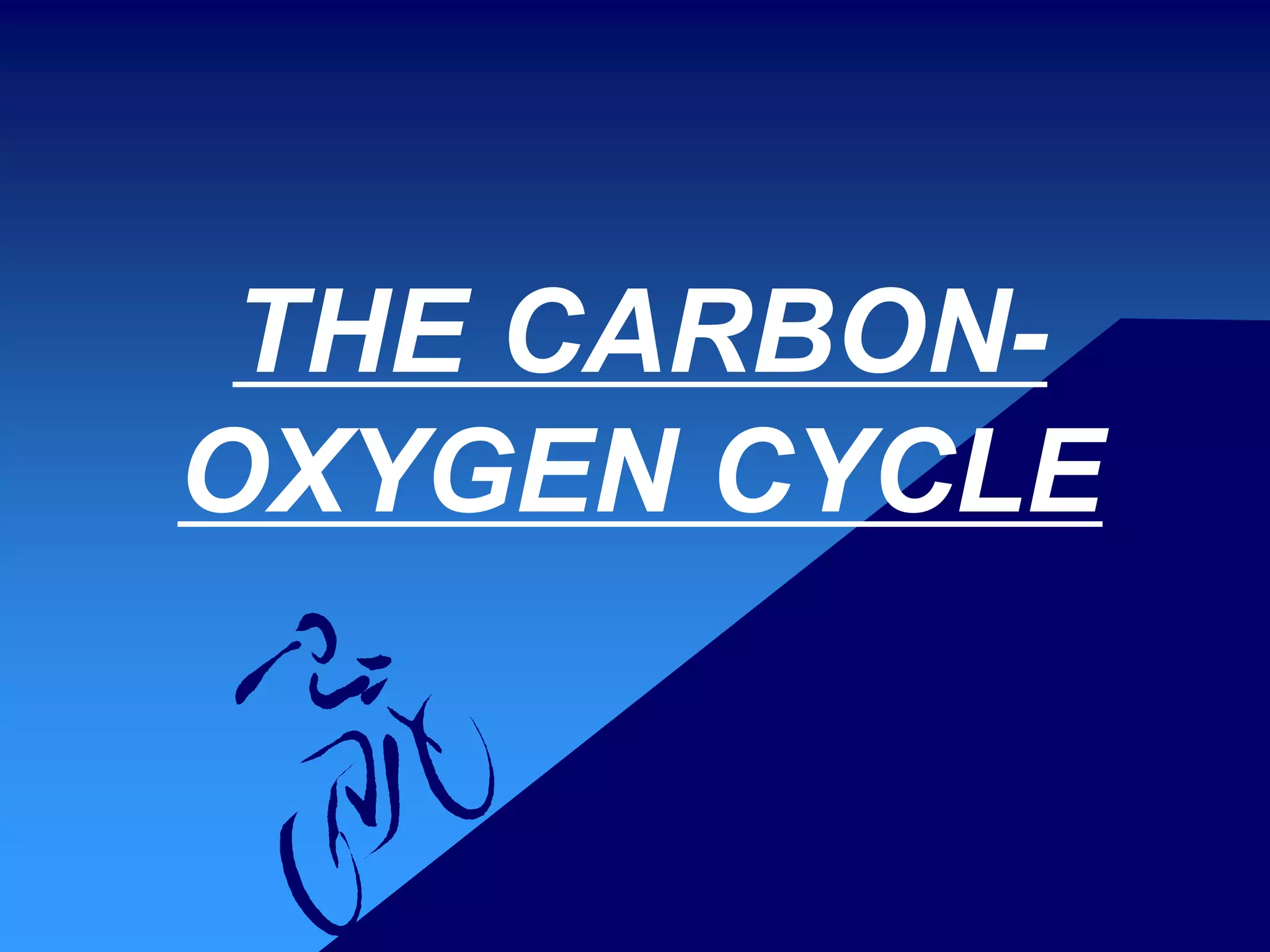 Carbon Oxygen Cycle | PPT