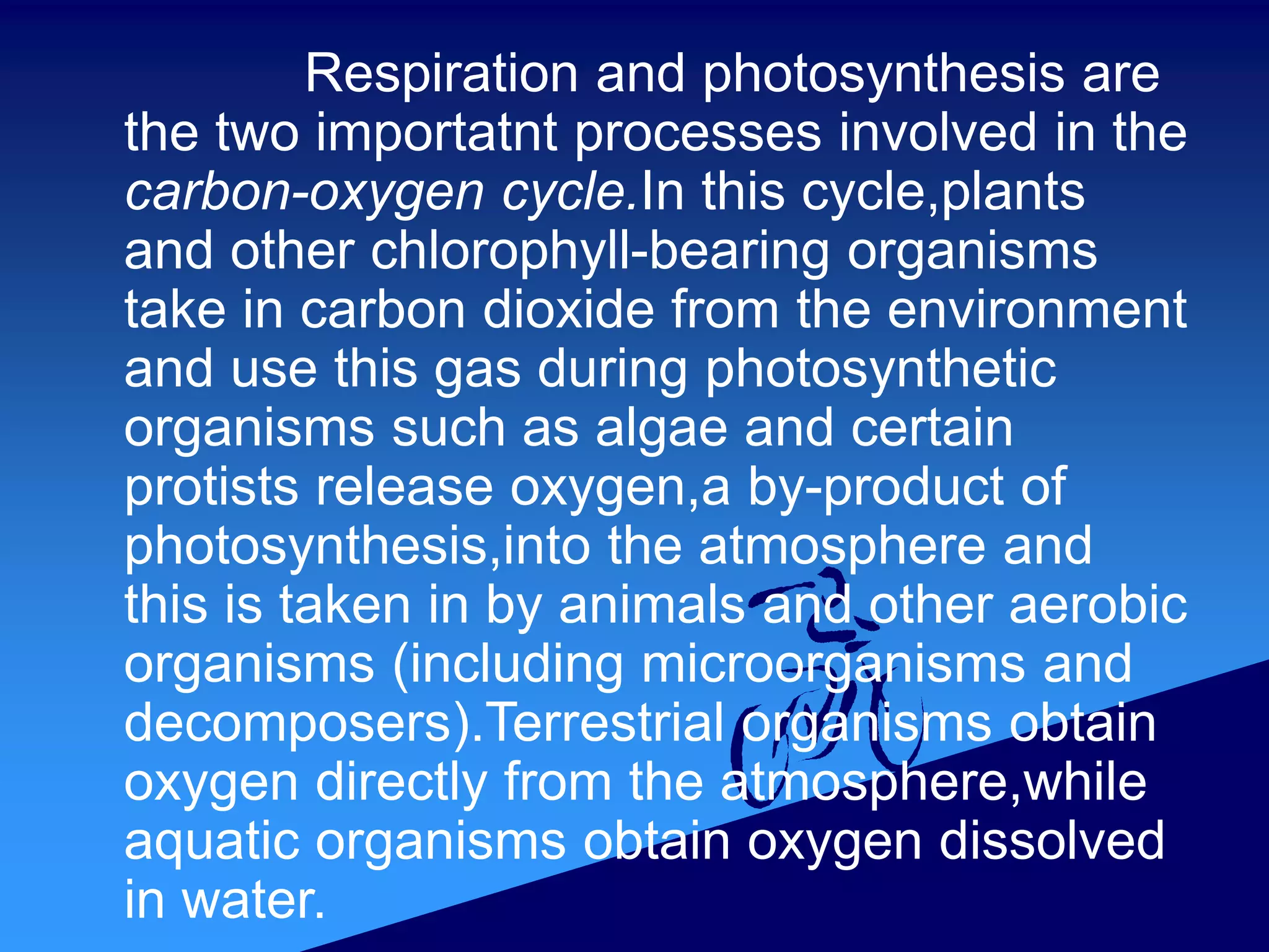 Carbon Oxygen Cycle | PPT