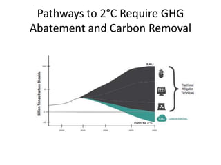 Carbon removal project overview | PDF