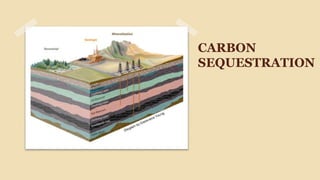 Carbon sequestraion | PPTX