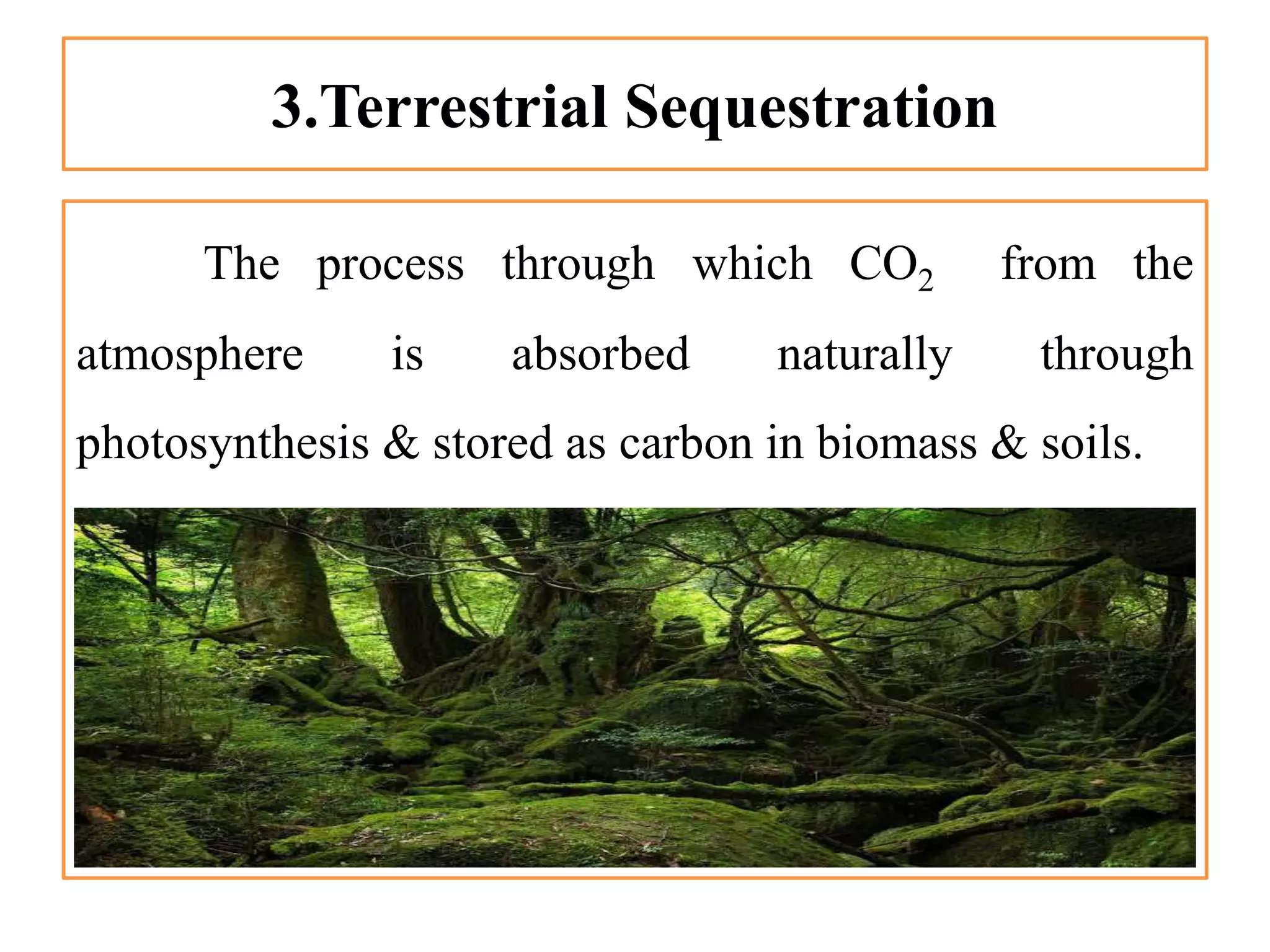 Carbon sequestration and its types | PPTX