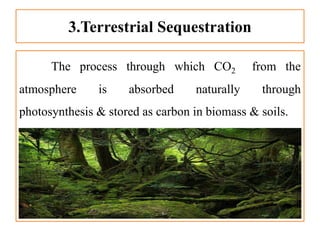 Carbon sequestration and its types | PPTX