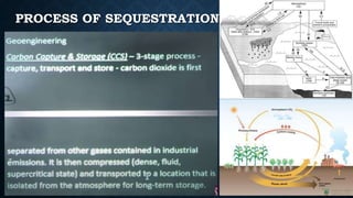 Carbon sequestration | PPT