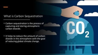 Carbon Sequestration.pptx