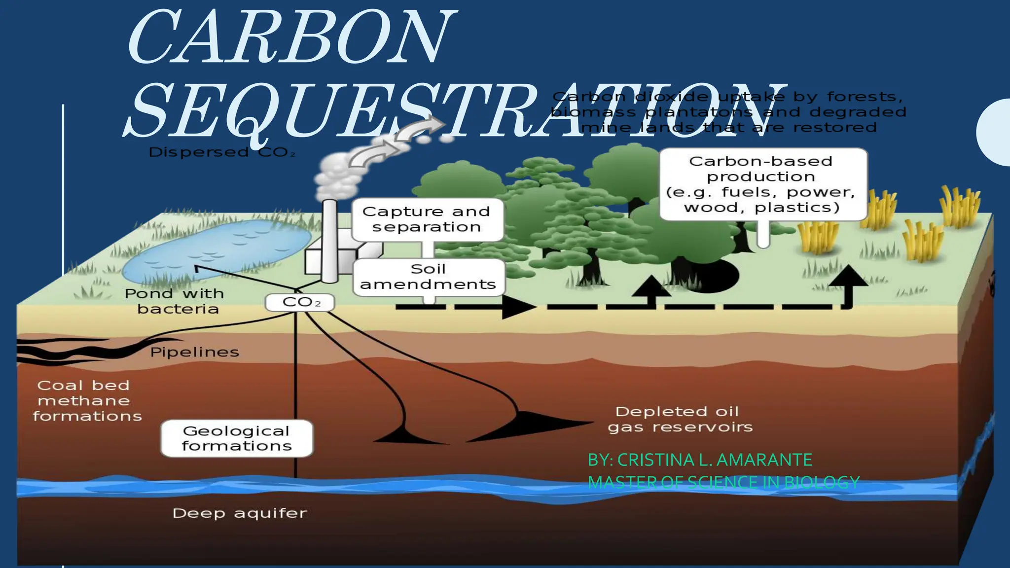 CARBON_SEQUESTRATION in a unique way and more | PPT