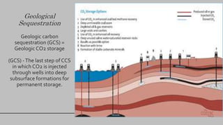 CARBON_SEQUESTRATION in a unique way and more | PPT