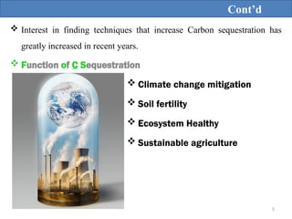 Carbon Sequestration in Soils: Opportunities, Challenges, and Climate ...