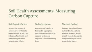 Carbon Sequestration Monitoring Best Practices and Innovations.pptx