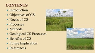 Carbon sequstraion | PPT