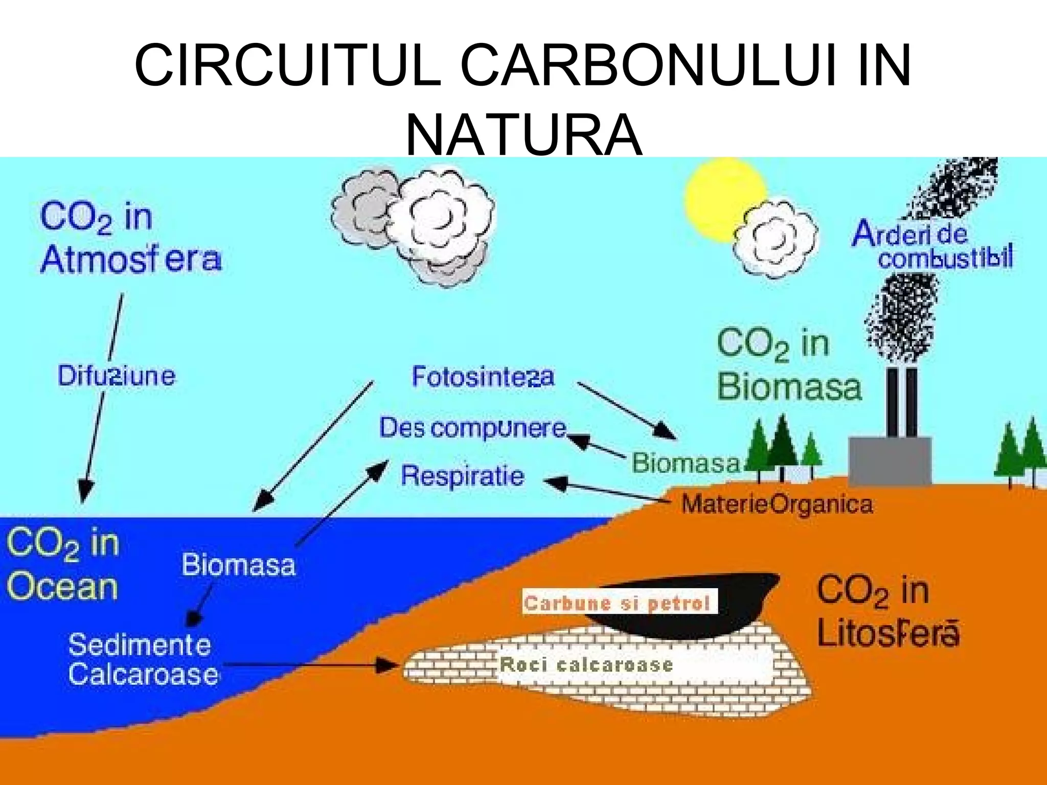Carbonul | PPT