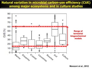 Carbon utilization efficiency | PDF