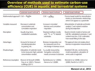 Carbon utilization efficiency | PDF