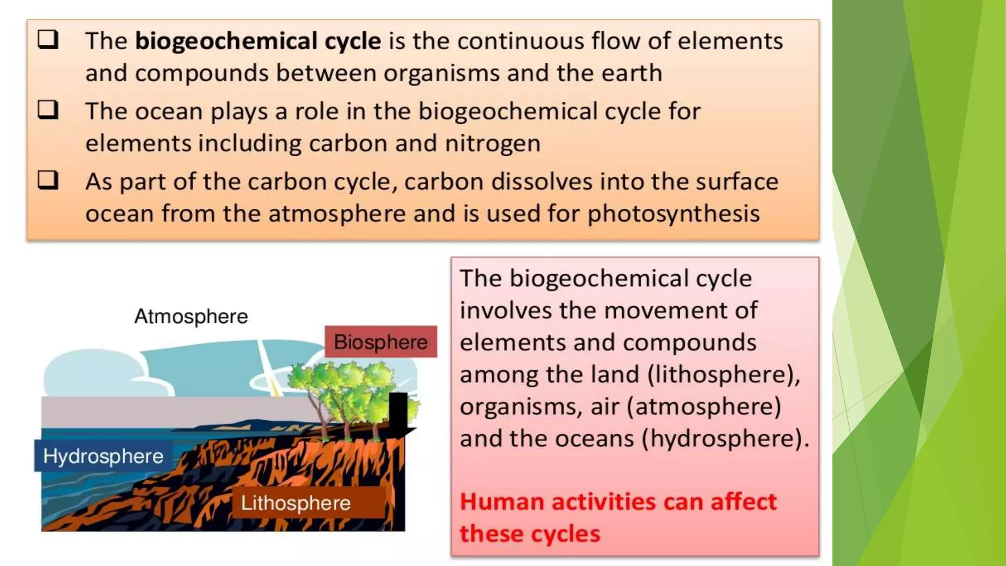 Biogeochemical cycle | PPT