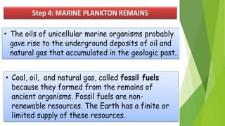 Biogeochemical cycle | PPTX
