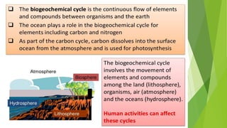 Biogeochemical cycle | PPT