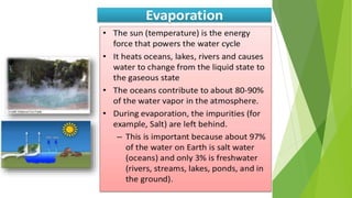 Biogeochemical cycle | PPT