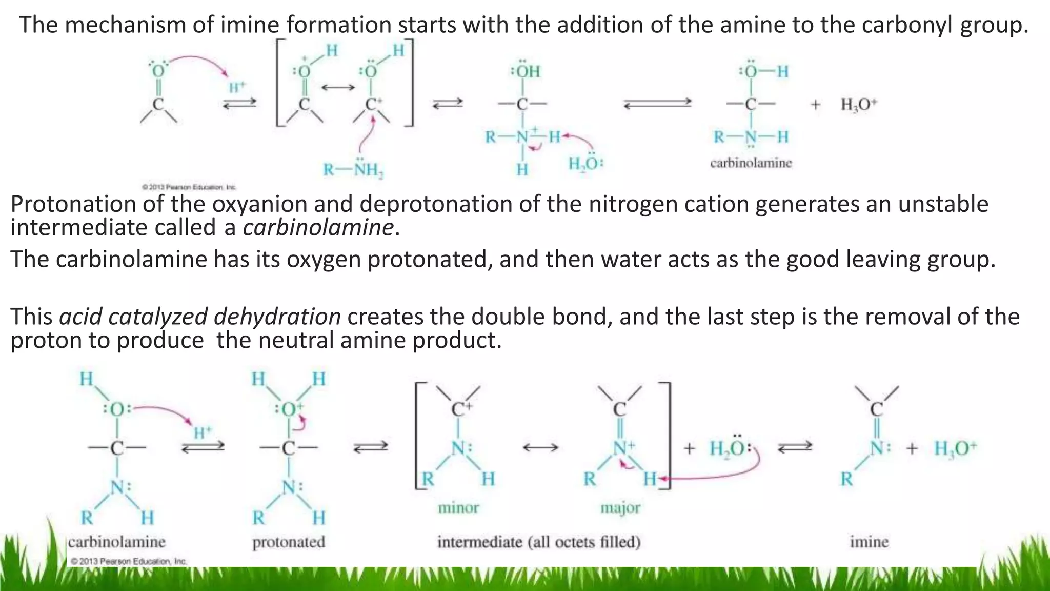 Carbonyl compounds | PPTX