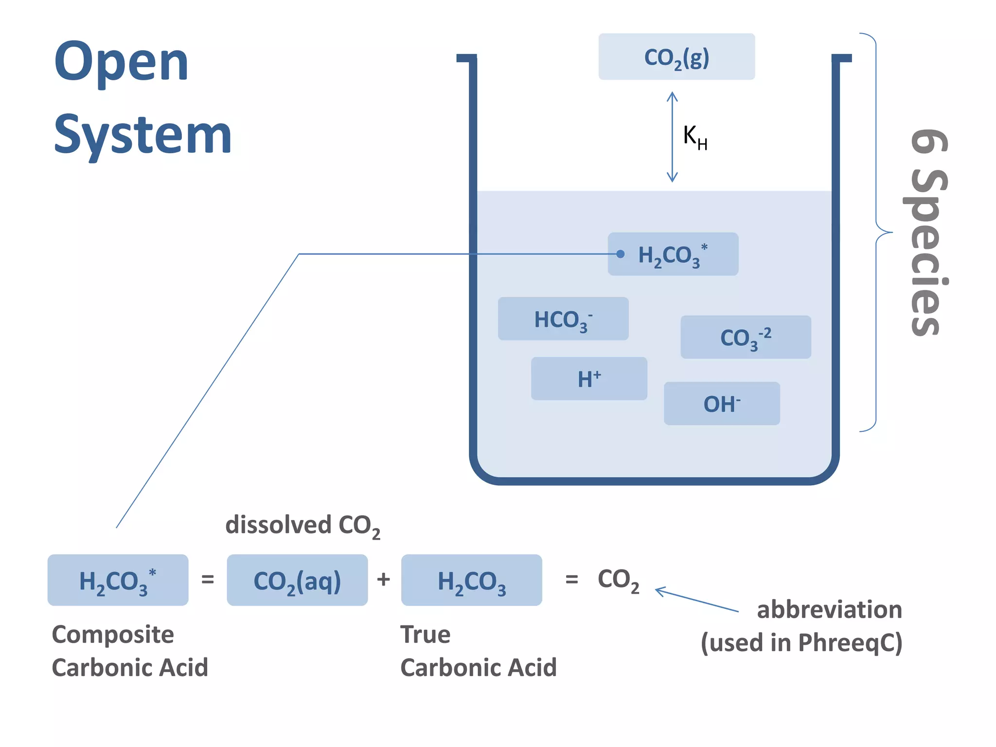 Open vs. Closed Carbonate System | PPTX