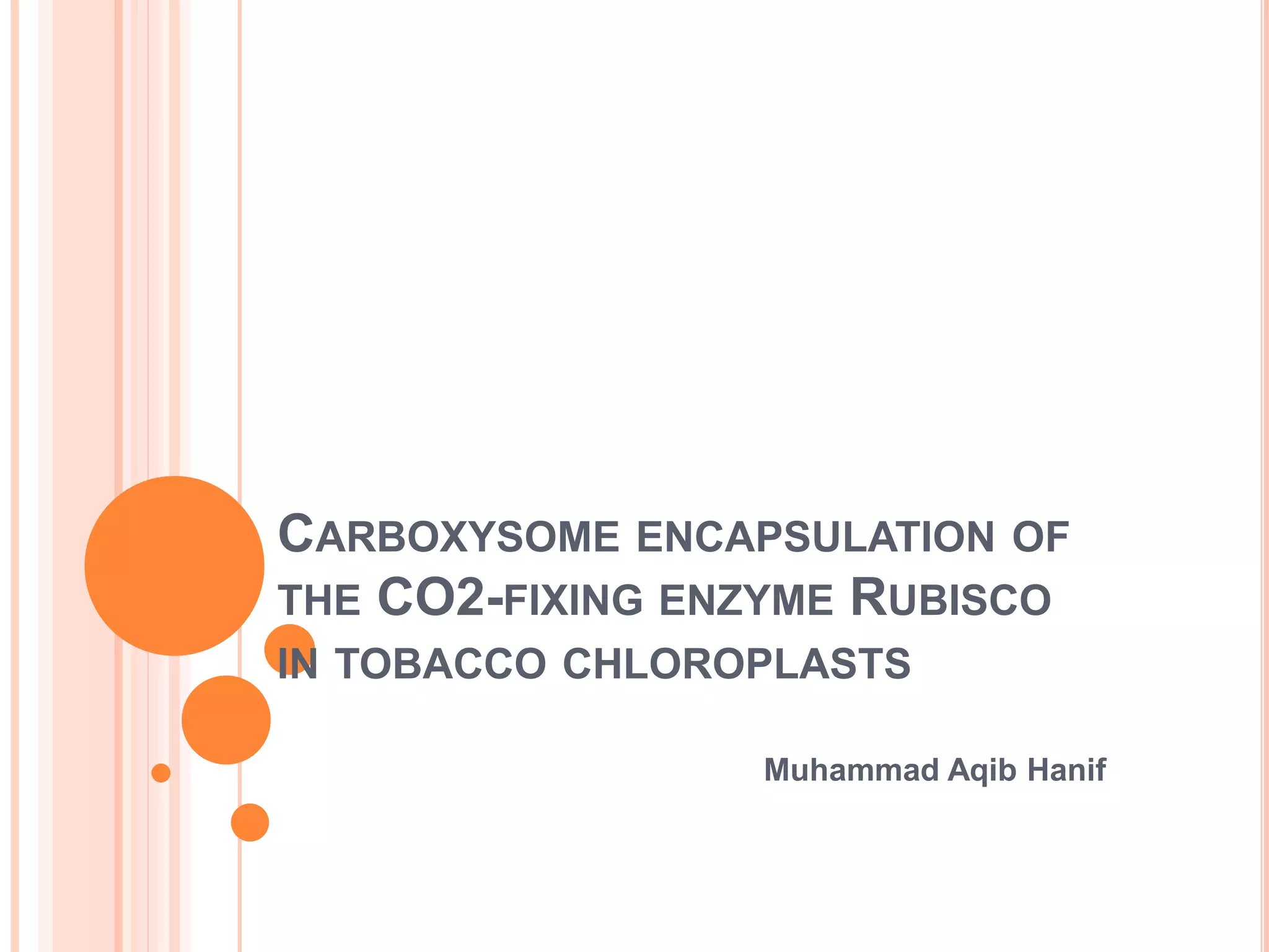 Carboxysome encapsulation of the co2 fixing enzyme rubisco in | PPT