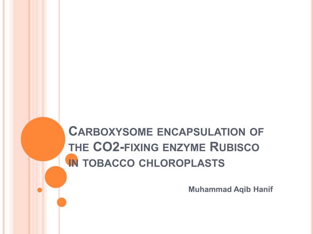 Carboxysome encapsulation of the co2 fixing enzyme rubisco in | PPT