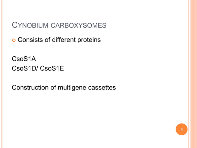 Carboxysome encapsulation of the co2 fixing enzyme rubisco in | PPT