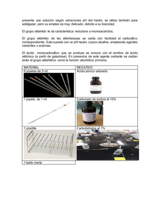 Practica No. 3 Bioquimica | DOCX