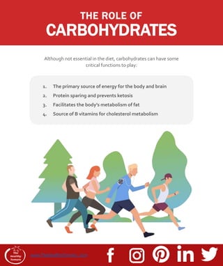 Carbs 101 | PDF