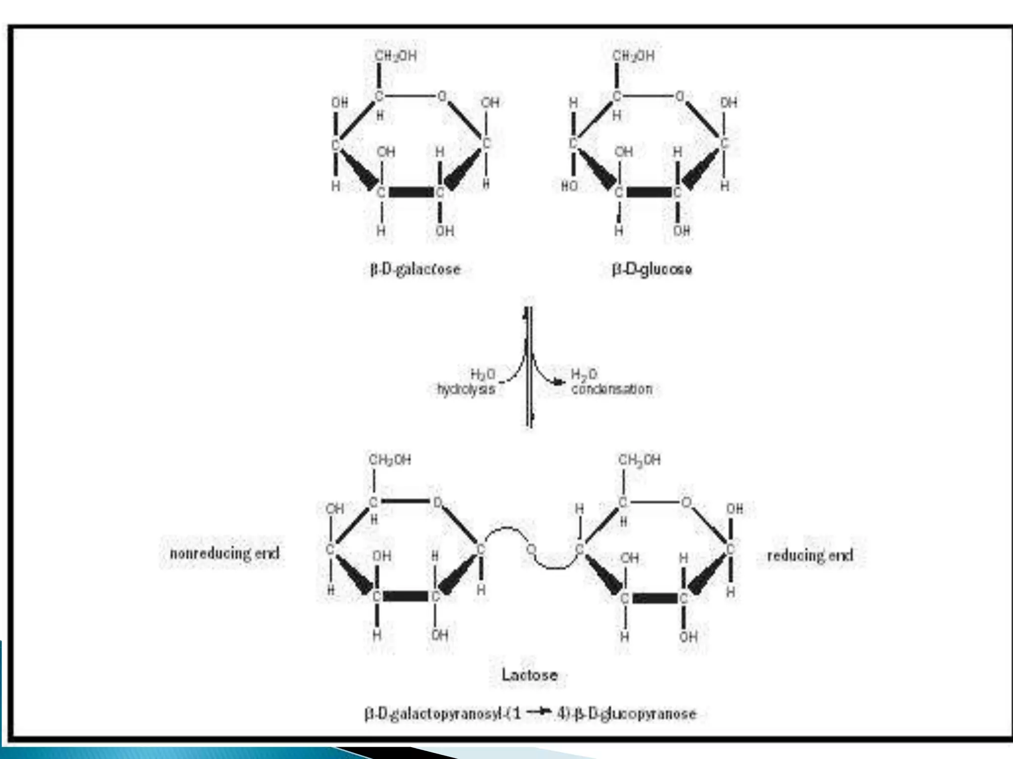 classification of carbohydrates | PPTX