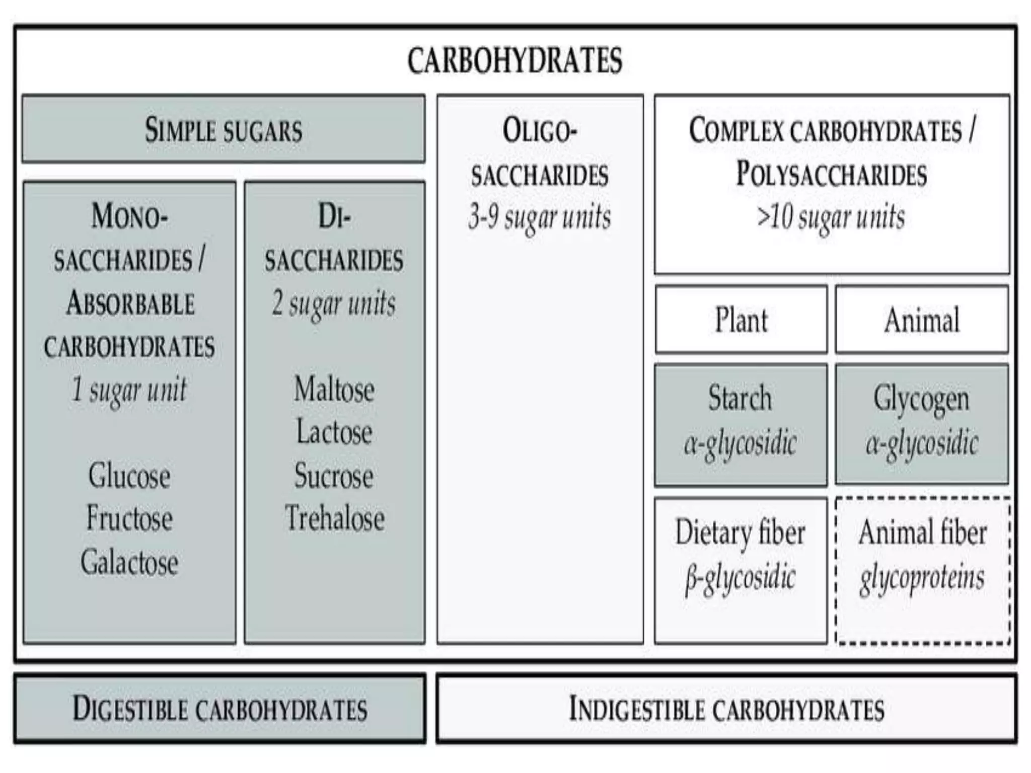 classification of carbohydrates | PPTX