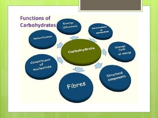 A presentation on carbohydrates and their classification | PPTX