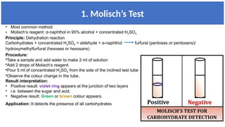 Different Methods of Carbohydrate Analysis | PPTX