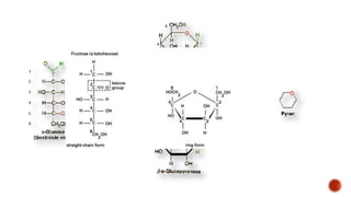Carbohydrate and Lipid biochemistry | PPTX