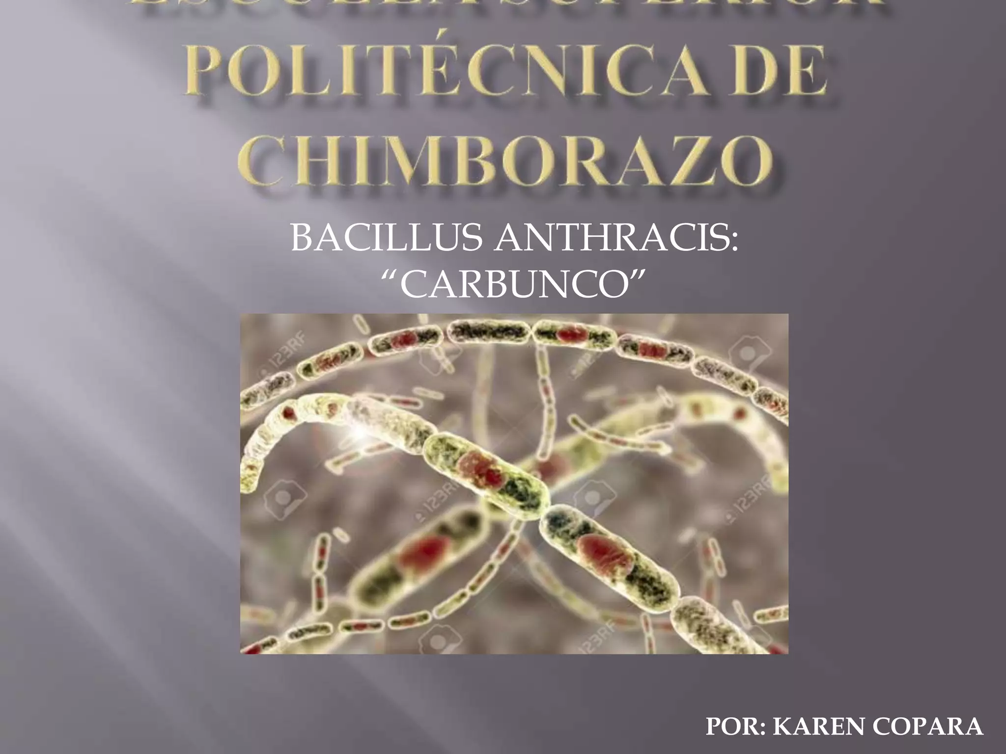 Carbunco: tipos y tratamiento | PPTX