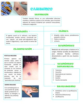 Carbunco: Síntomas, Causas y Tratamiento de la Enfermedad Bacteriana | PDF