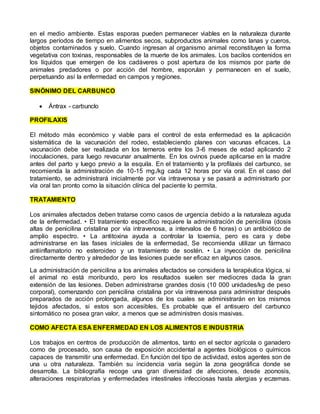 Carbunco sintomático | DOCX