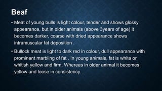 Carcass charcteristics of different meat anima | PPTX