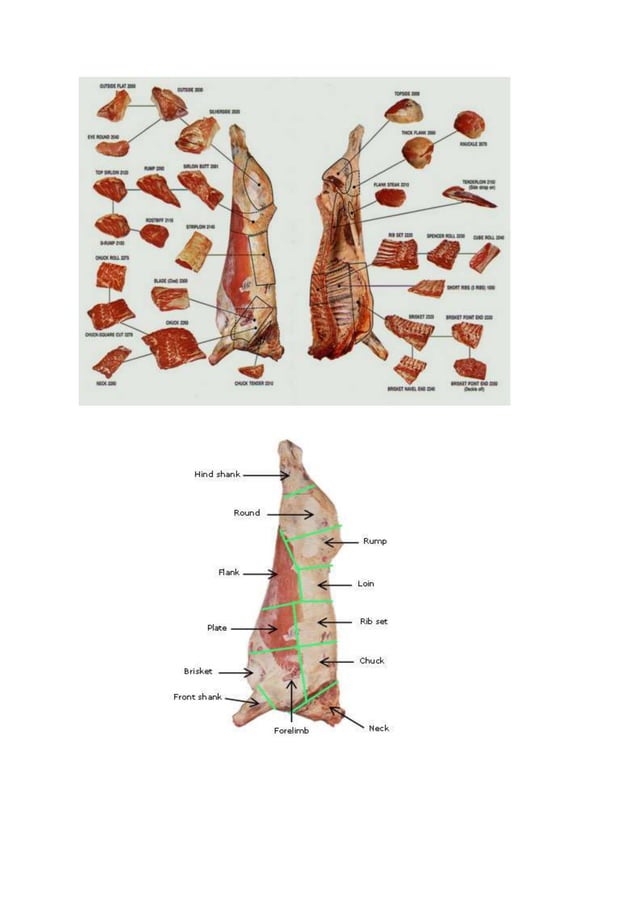 Carcass evaluation,grading and cuts | DOCX