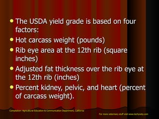 Carcass grading | PPS