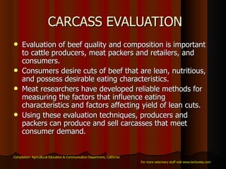Carcass grading | PPS