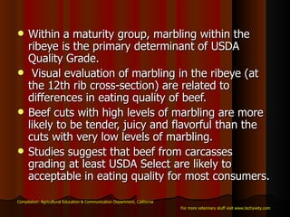 Carcass grading | PPS